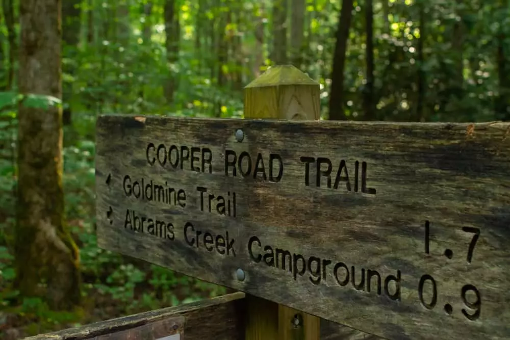 Top 4 Things to Know About Hiking the Cooper Road Trail in Cades Cove