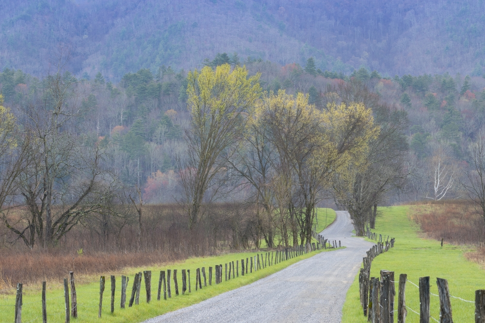 Directions to Cades Cove: 3 Routes You Can Take