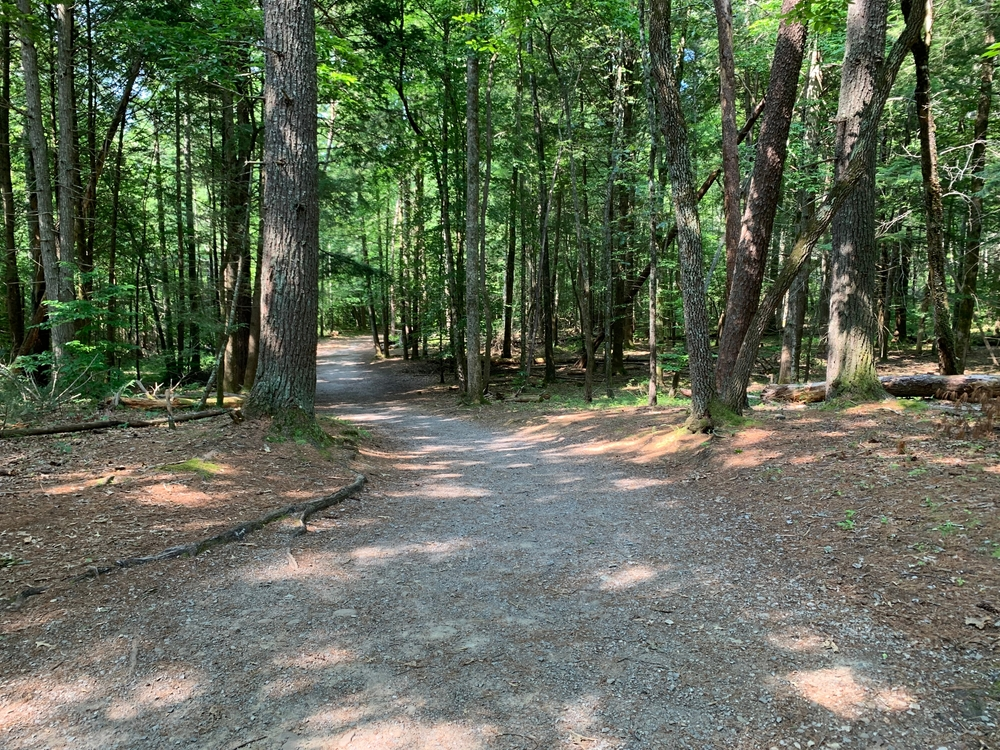 Everything You Need to Know About Driving on Parson Branch Road